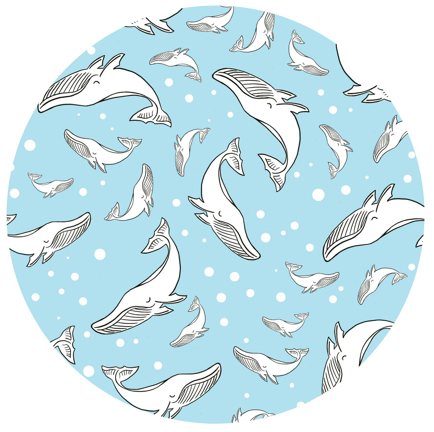 Baja – Splash Fabric
